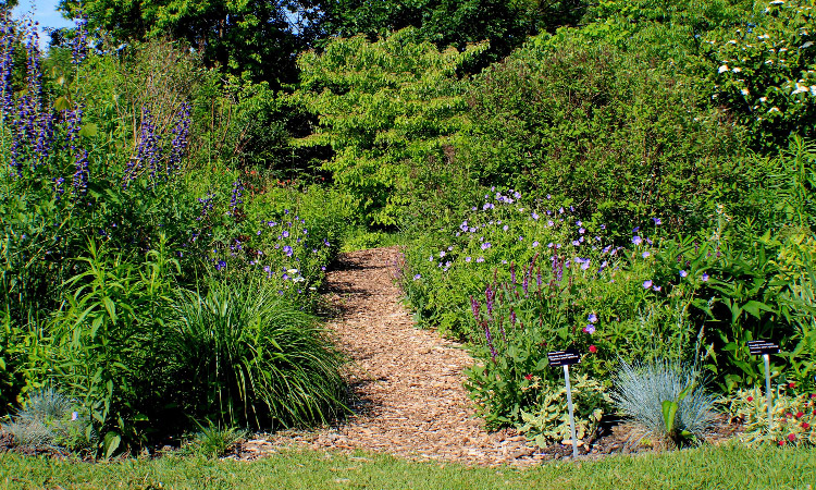 Nature’s Garden - Toronto Botanical Garden