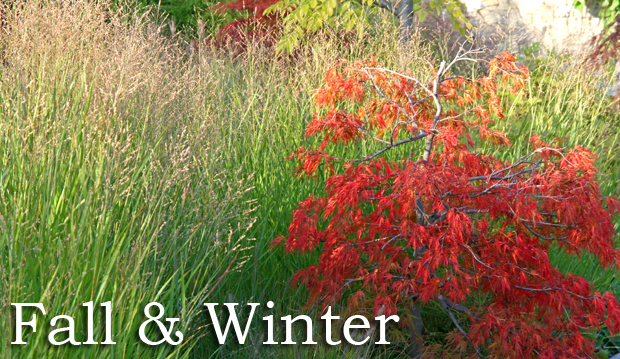 Fall and Winter in the Garden - Toronto Botanical Garden