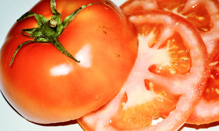 Botanical Nerd Word: Locule - Toronto Botanical Garden