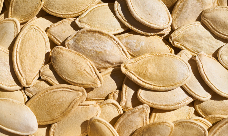 Botanical Nerd Word: Quiescent - Toronto Botanical Garden