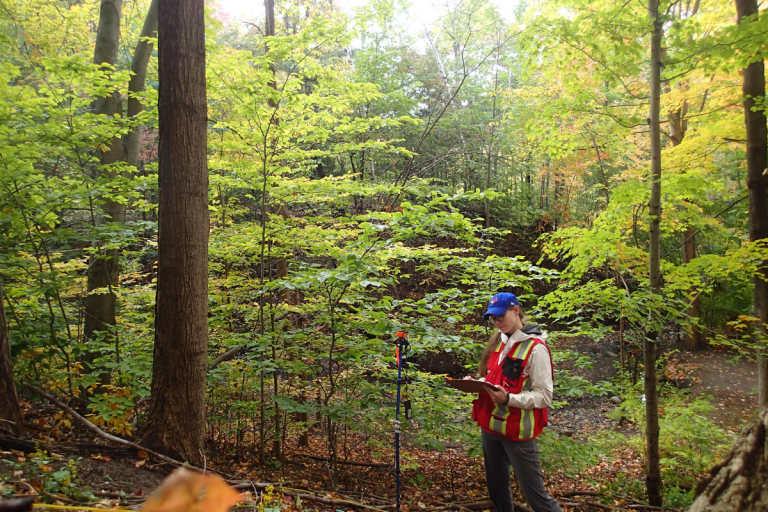 Celebrate Toronto's Ravines - Toronto Botanical Garden