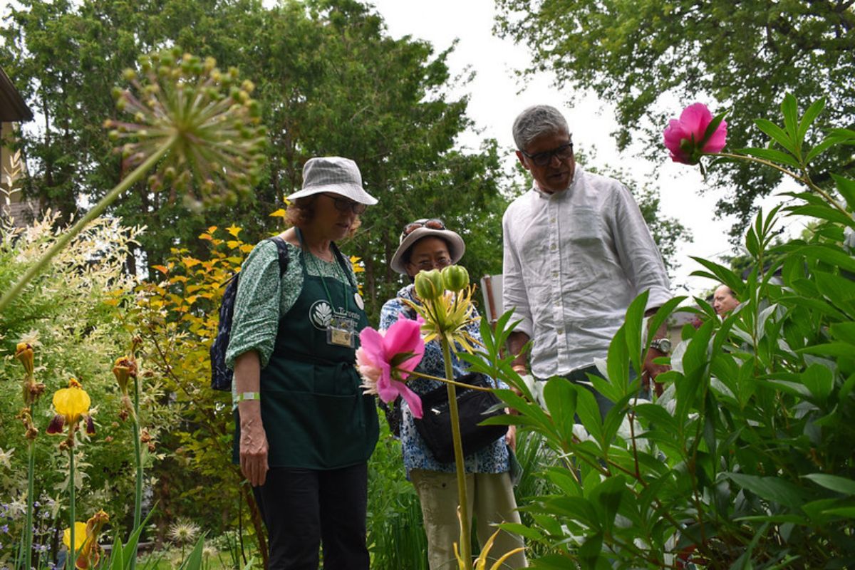 Through the Garden Gate: HOGG’S HOLLOW - Toronto Botanical Garden