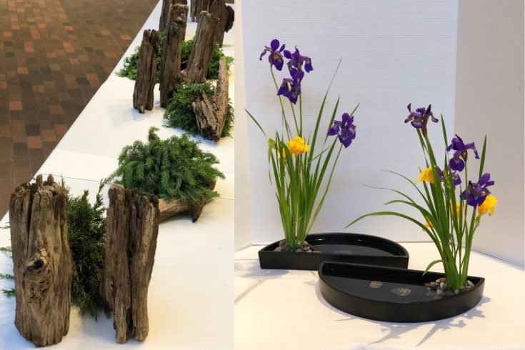 Unconventional Sogetsu Ikebana - Toronto Botanical Garden