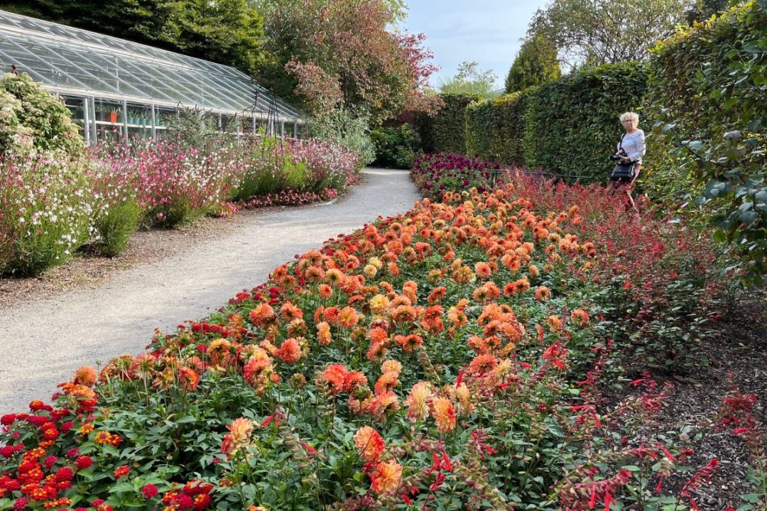 A Garden for All | Connecting People with Plants - Toronto Botanical Garden