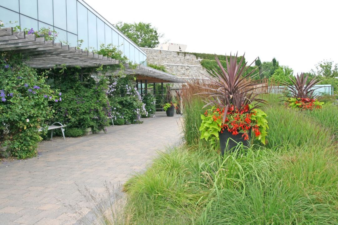 Arrival Courtyard - Toronto Botanical Garden