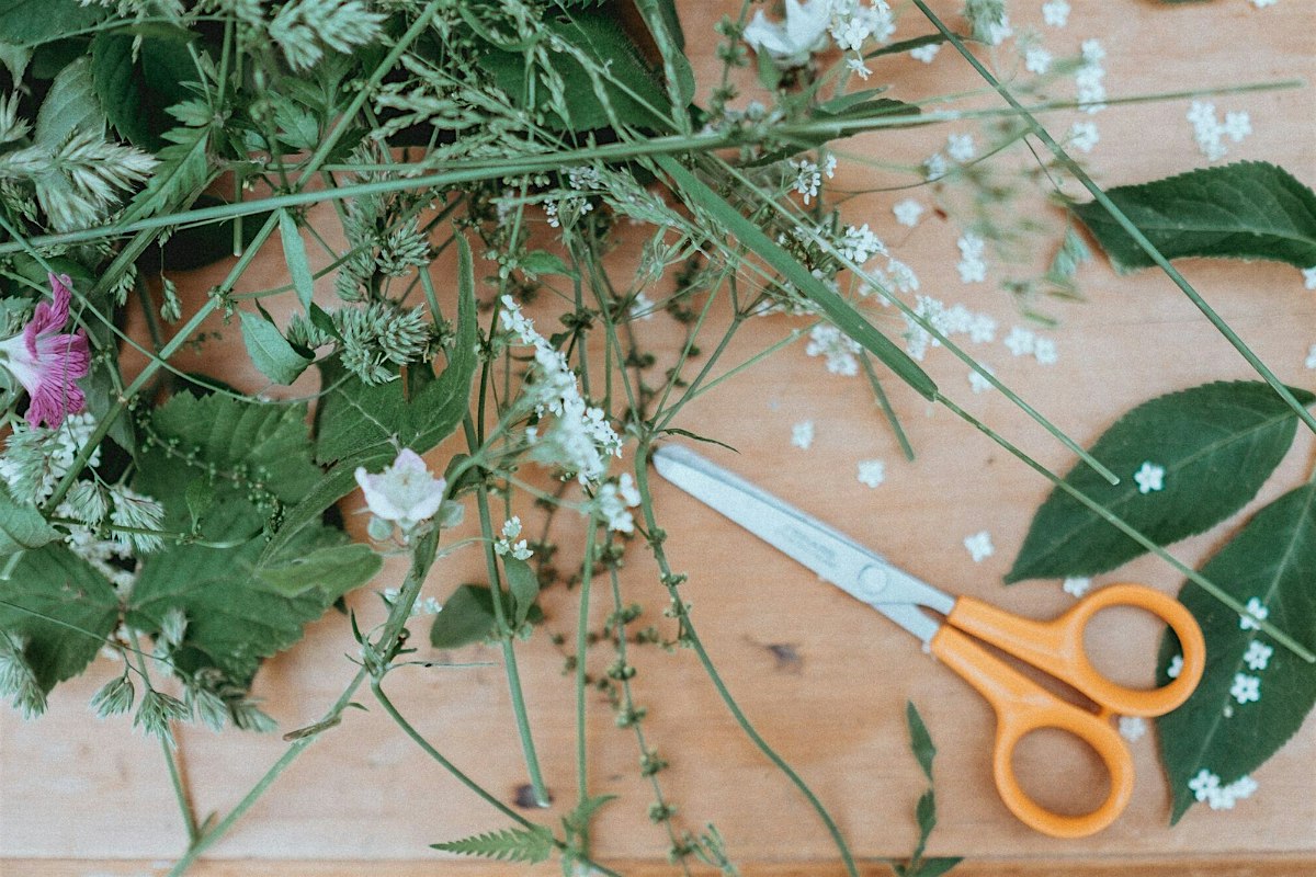 Floral Design Program - Toronto Botanical Garden