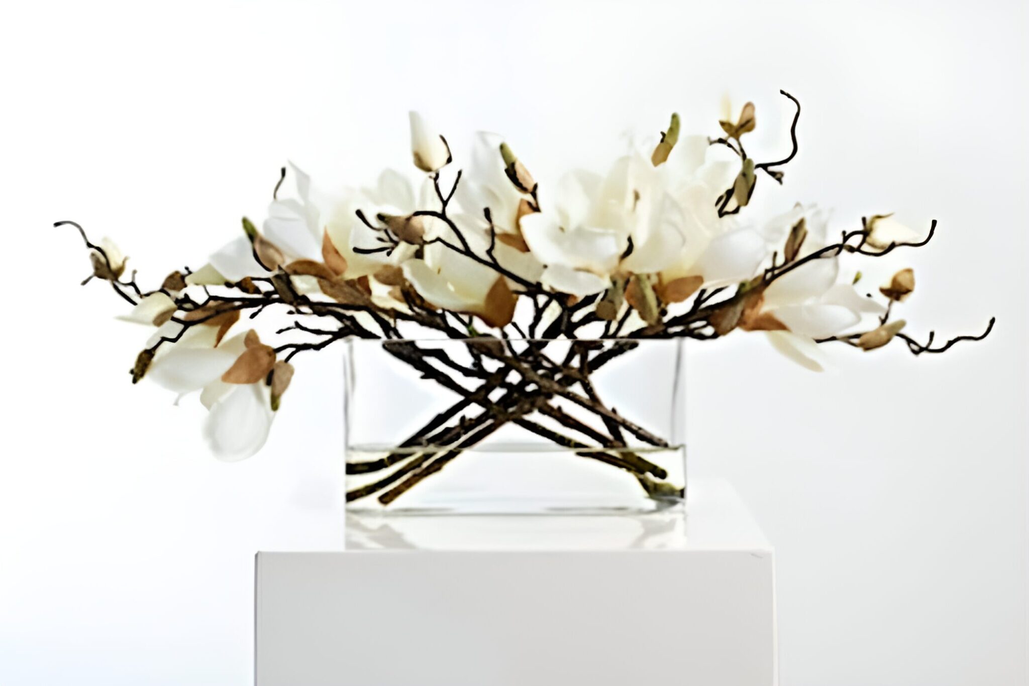 Public Gardens - Toronto Botanical Garden