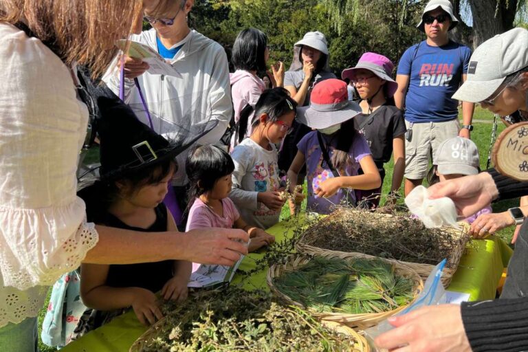 Edwards Gardens - Toronto Botanical Garden