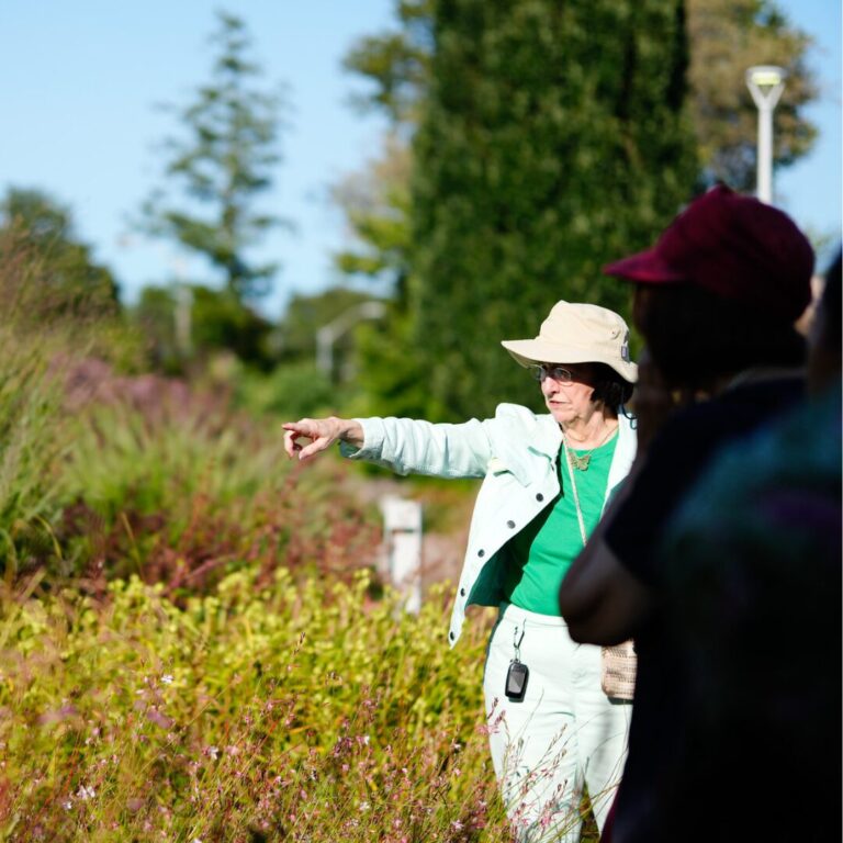 A Garden for All | Connecting People with Plants - Toronto Botanical Garden